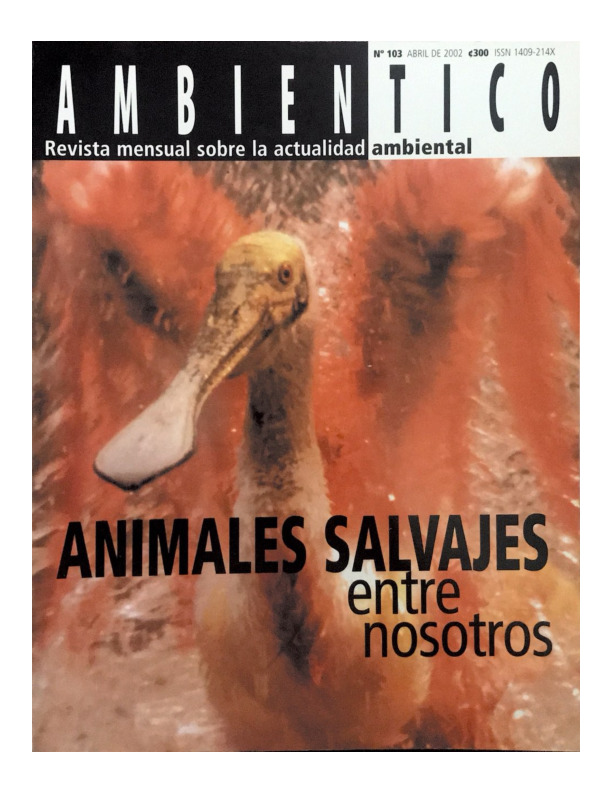 Animales salvajes entre nosotros – Revista Ambientico